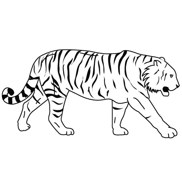 Person Woman Man Camera TV